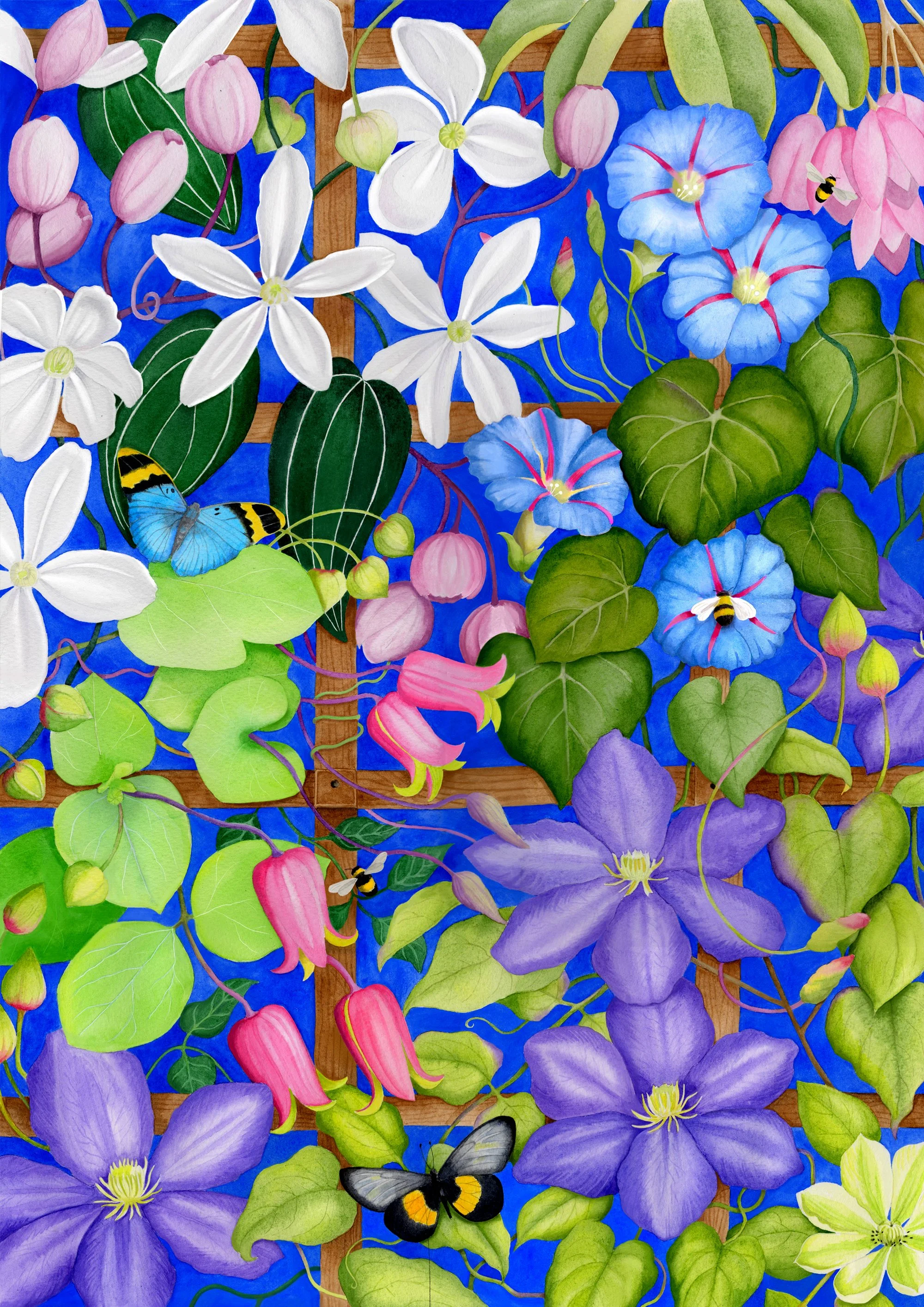 Shop — Bex Parkin Wildlife Artist