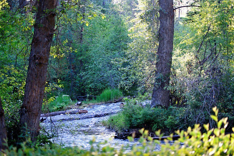 Rattlesnake Creek Watershed Group