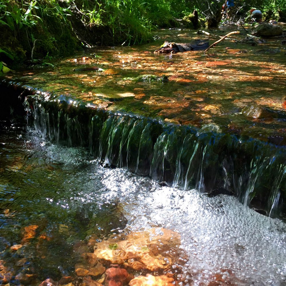 RCWG History & Board — Rattlesnake Creek Watershed Group