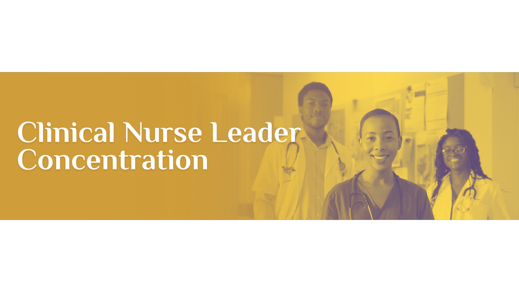 Scholarship for MSN Clinical Nurse Leader | BridgeWay Firm — The ...