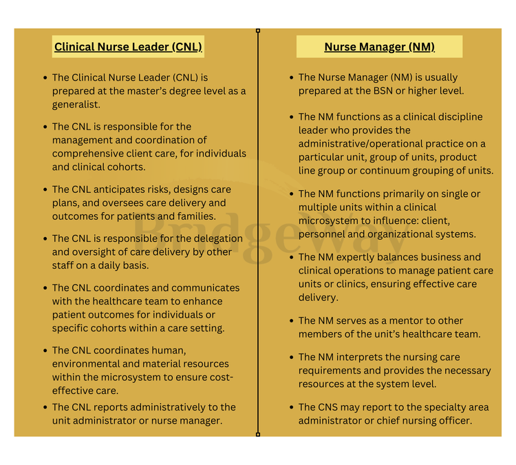 Clinical Nurse Leader: Everything you need to Know — The BridgeWay Firm