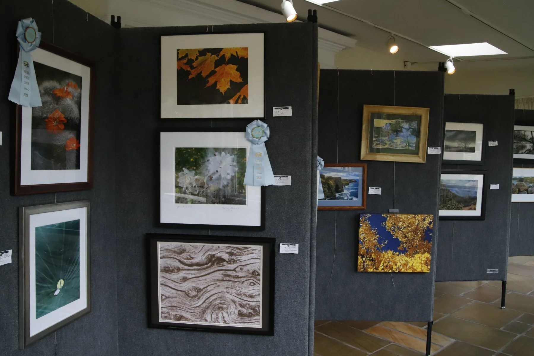 Photography Displays For Art Shows