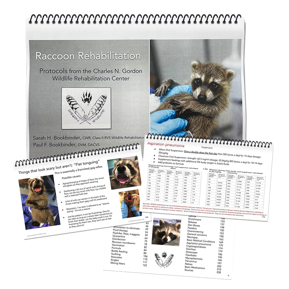 Raccoon Rehab Protocols Book now available in print — Charles N. Gordon ...