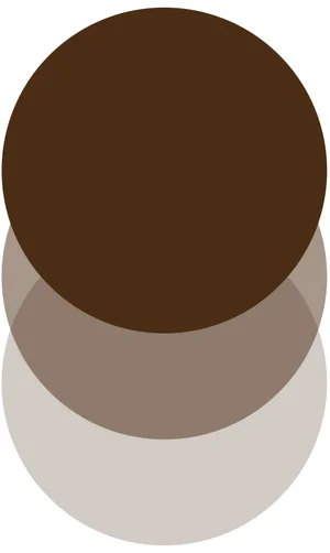 Branding Design for Saturn Coffee: Branding, logo design, illustration ...