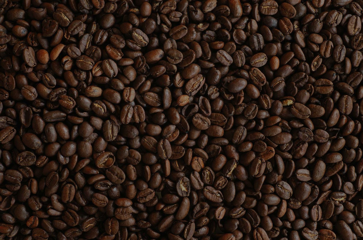 Branding Design for Saturn Coffee: Branding, logo design, illustration ...