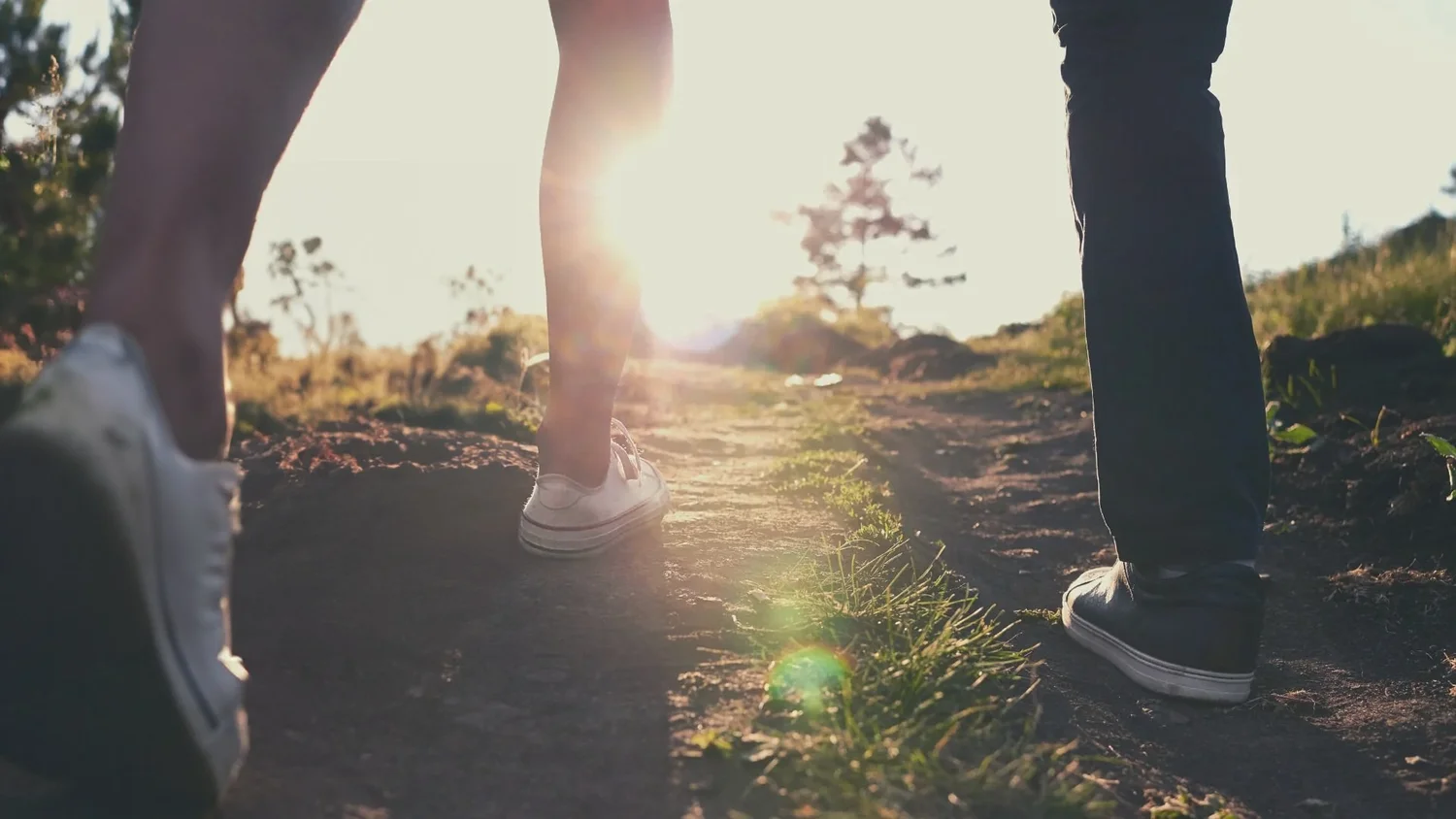 The Discipleship Pathway — West Meadows Baptist Church