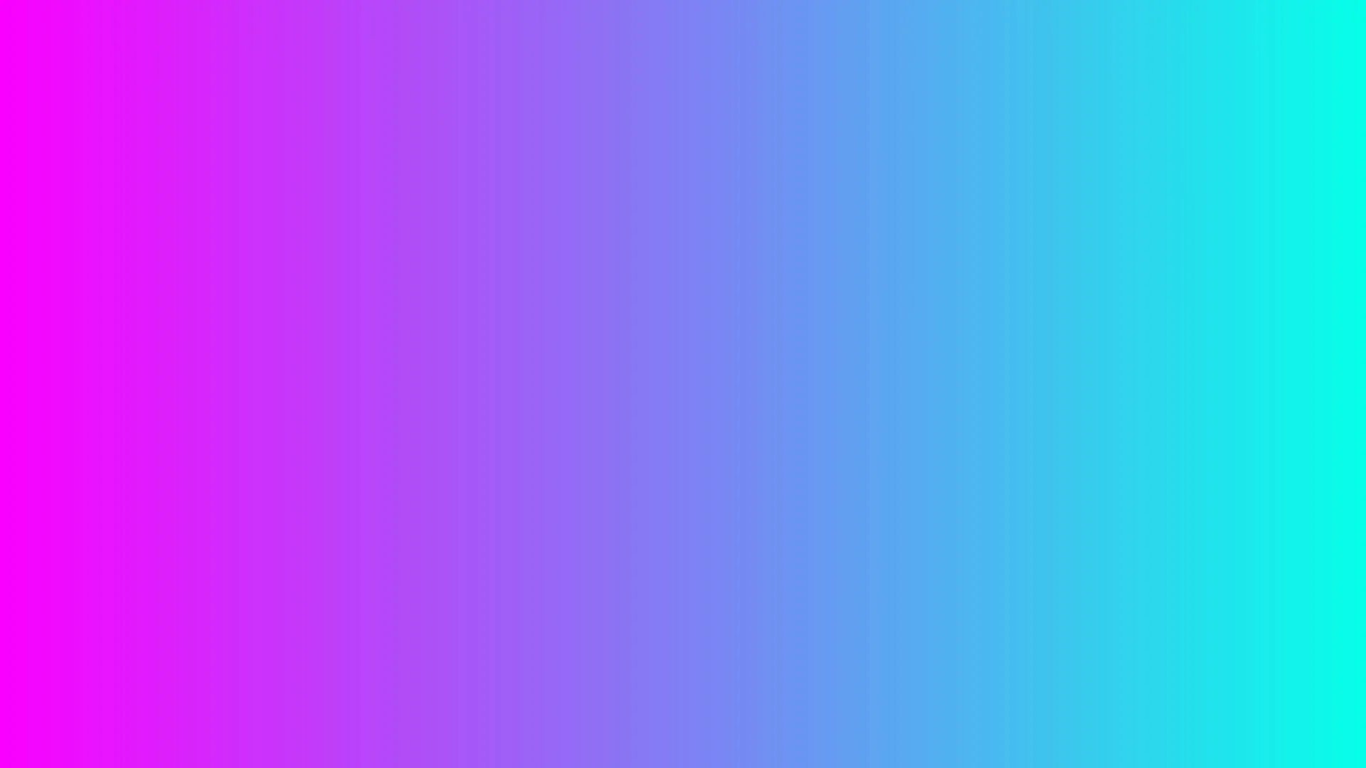 Schedule — Eighty Eight Studios