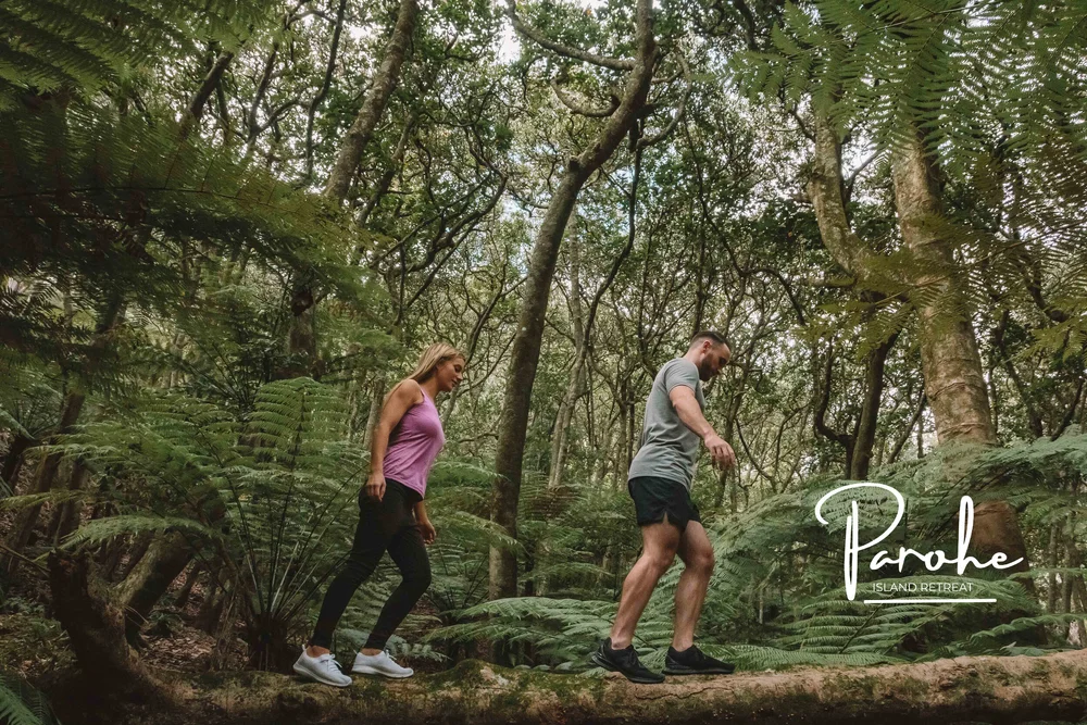 Parohe Island Retreat: New Zealand Wellness Retreat & Boutique ...