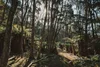 10 Cabins — Parohe