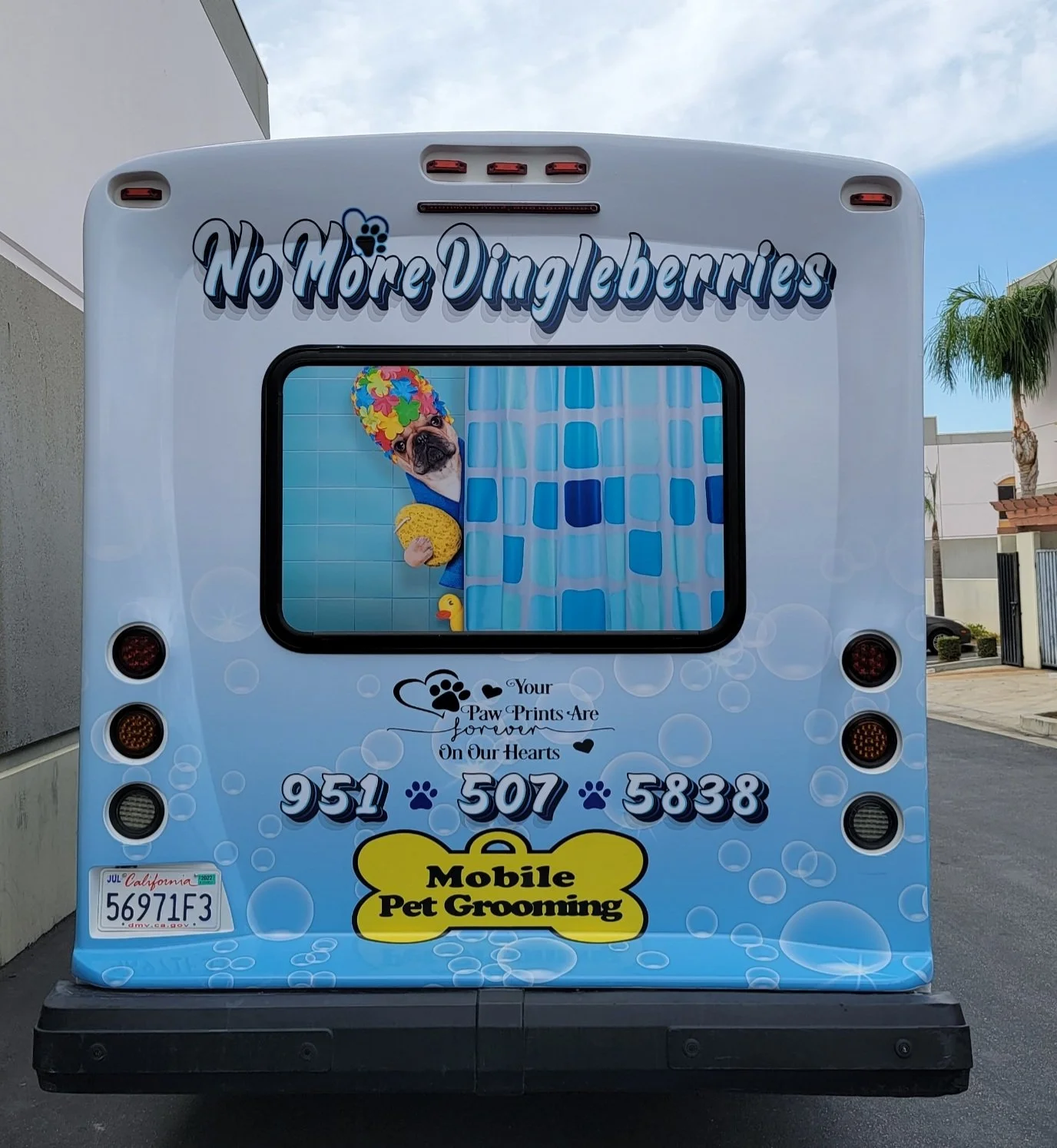 No More Dingleberries - Mobile Pet Grooming - Serving the Inland Empire ...