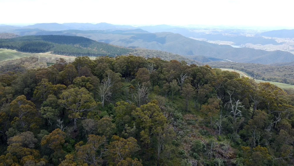 Mt Wee Jasper — Hume + Hovell Track