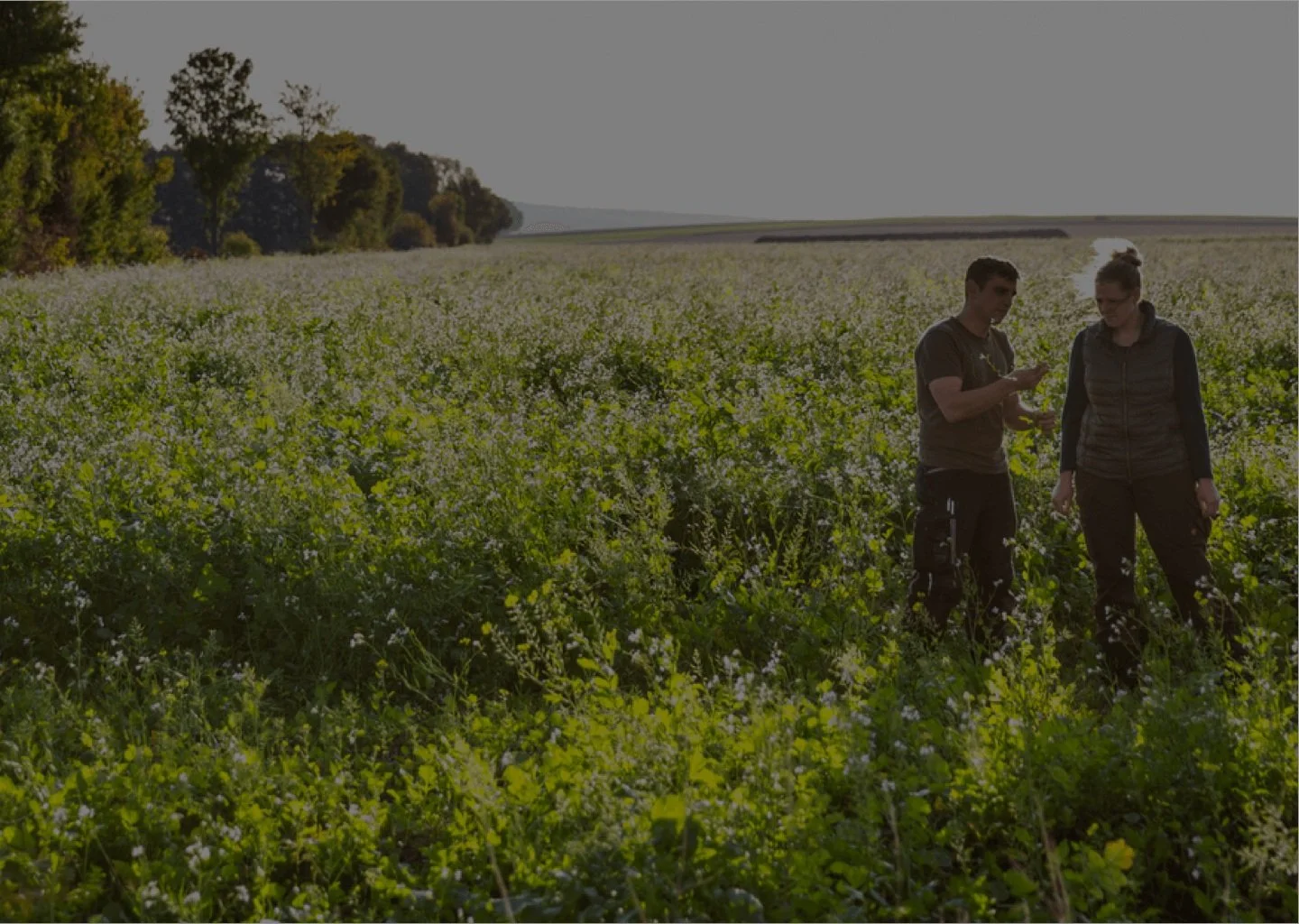 What is Sandy? | Trinity AgTech's Leading Natural Capital Software ...