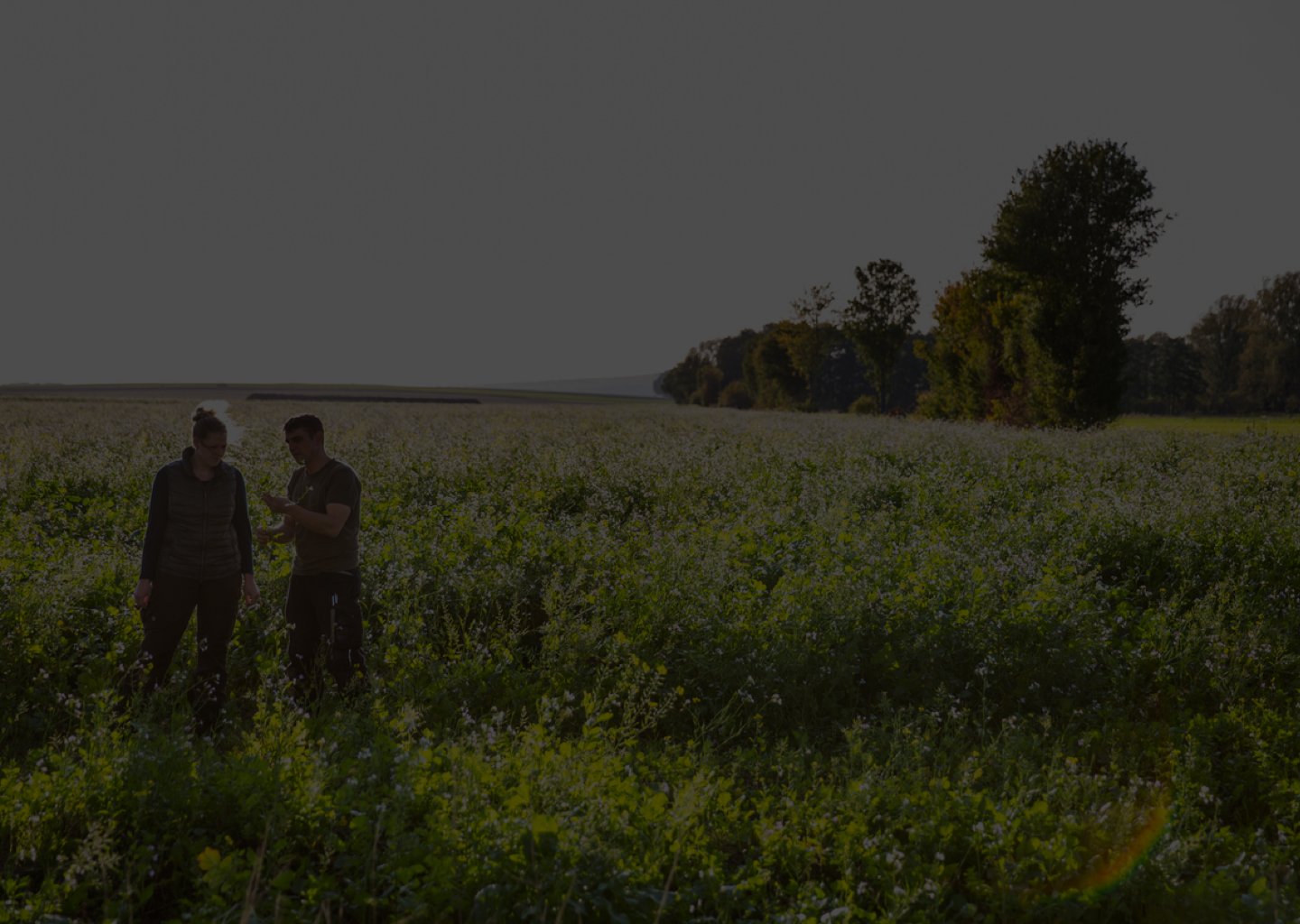 Trinity Agtech - Take control of your Natural Capital