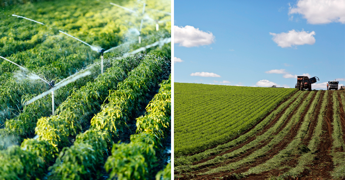 Farm Water Protection | Safeguard your farm's water resources with ...