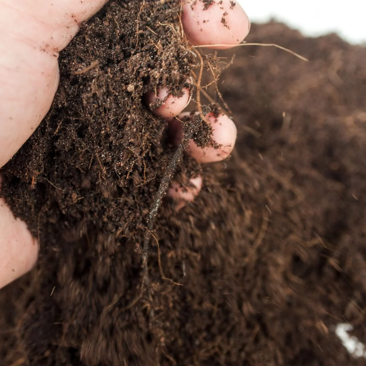 Trinity NCM welcome UK Soil Carbon Code — Trinity Agtech