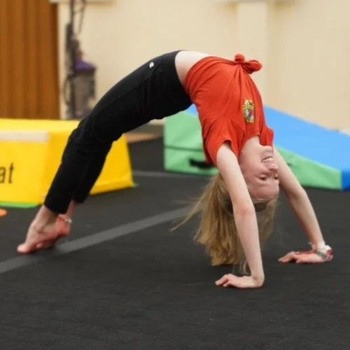 Astral Gymnastics Club