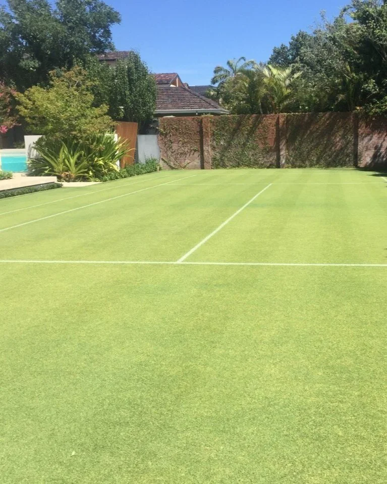 Tennis — Bold Turf
