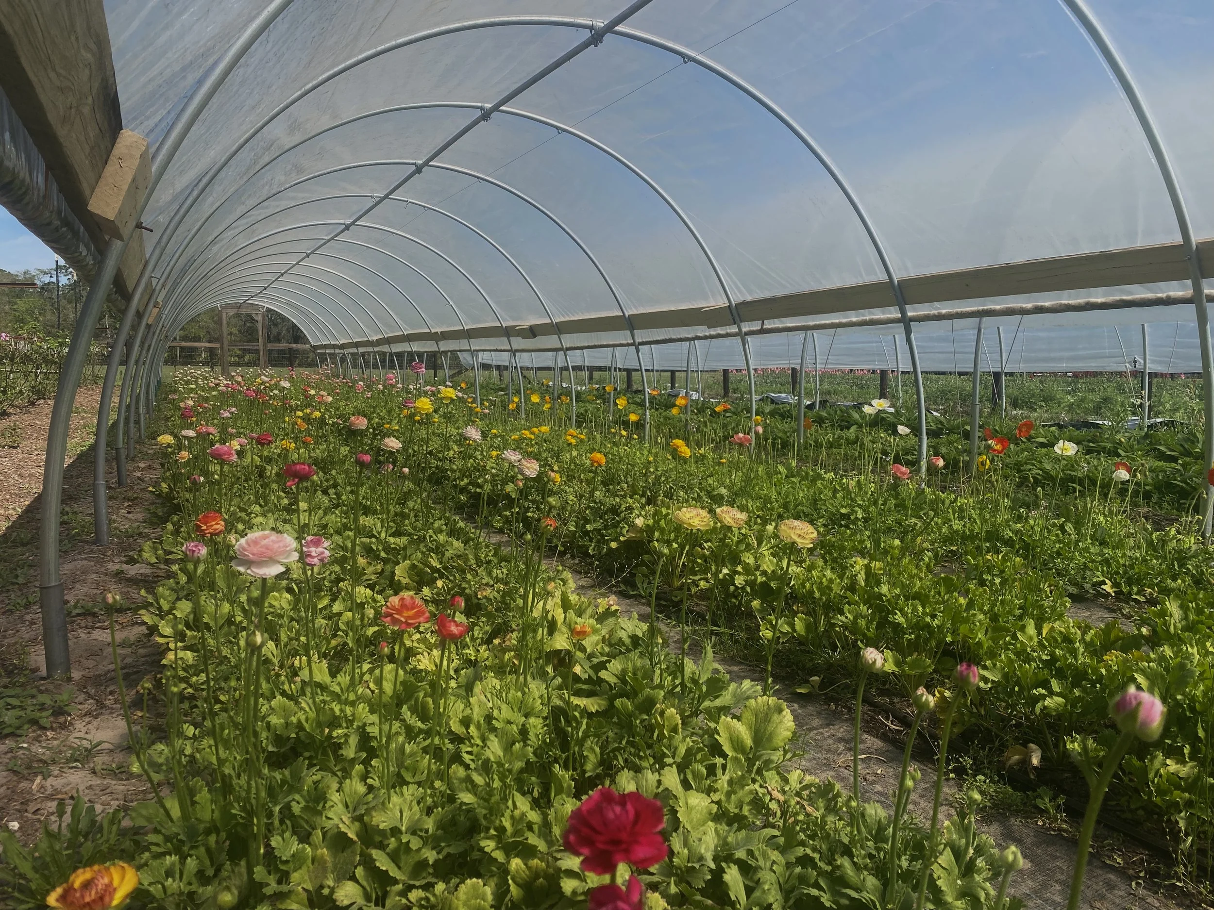 Farm — Bee Hill Farm