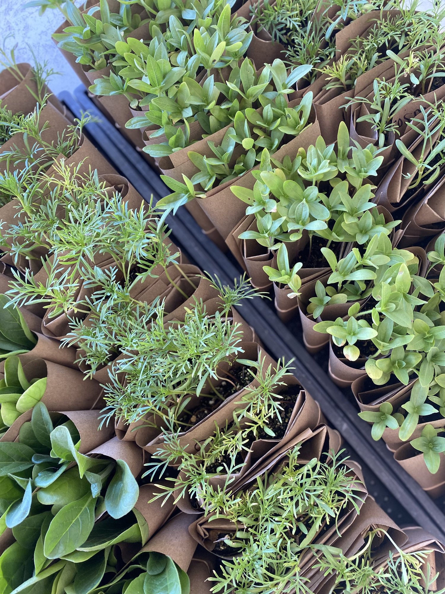 Farm — Bee Hill Farm