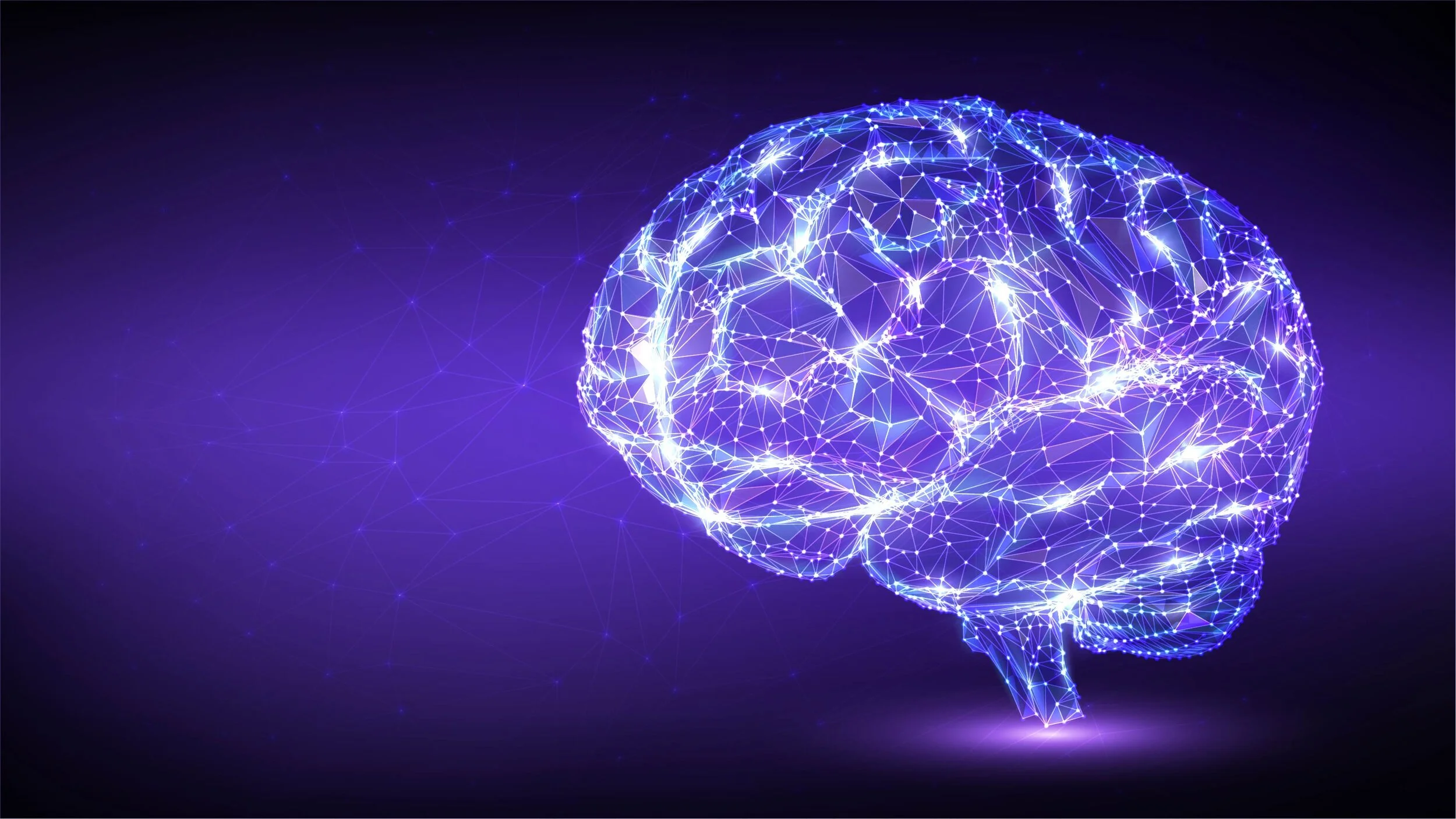 MindPortal