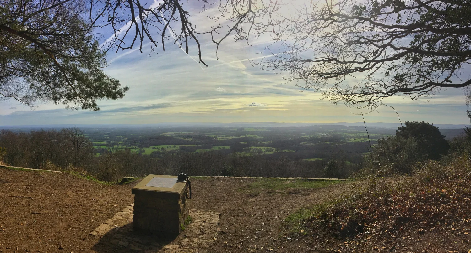 What's On — The Fernhurst Hub
