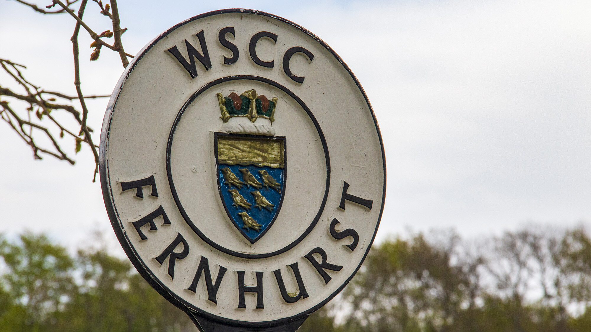 About — The Fernhurst Hub