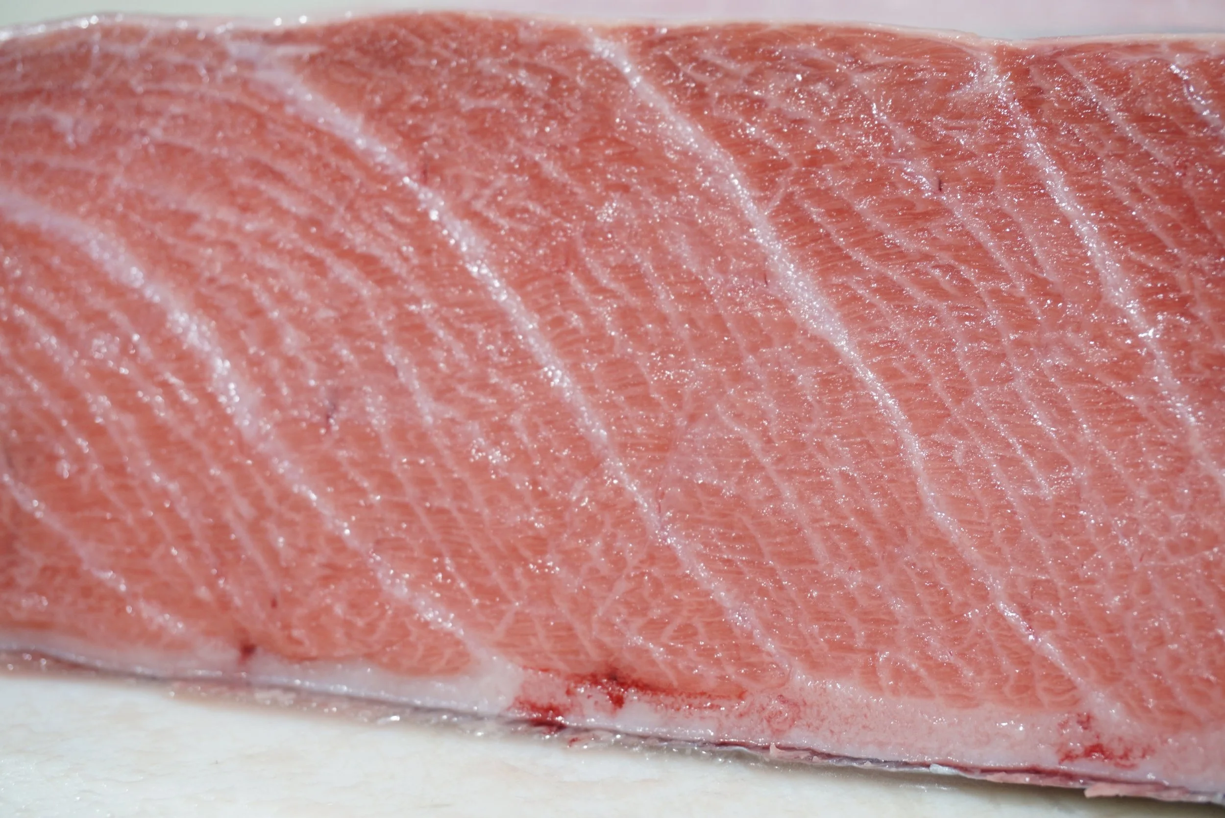 Toro Tuna