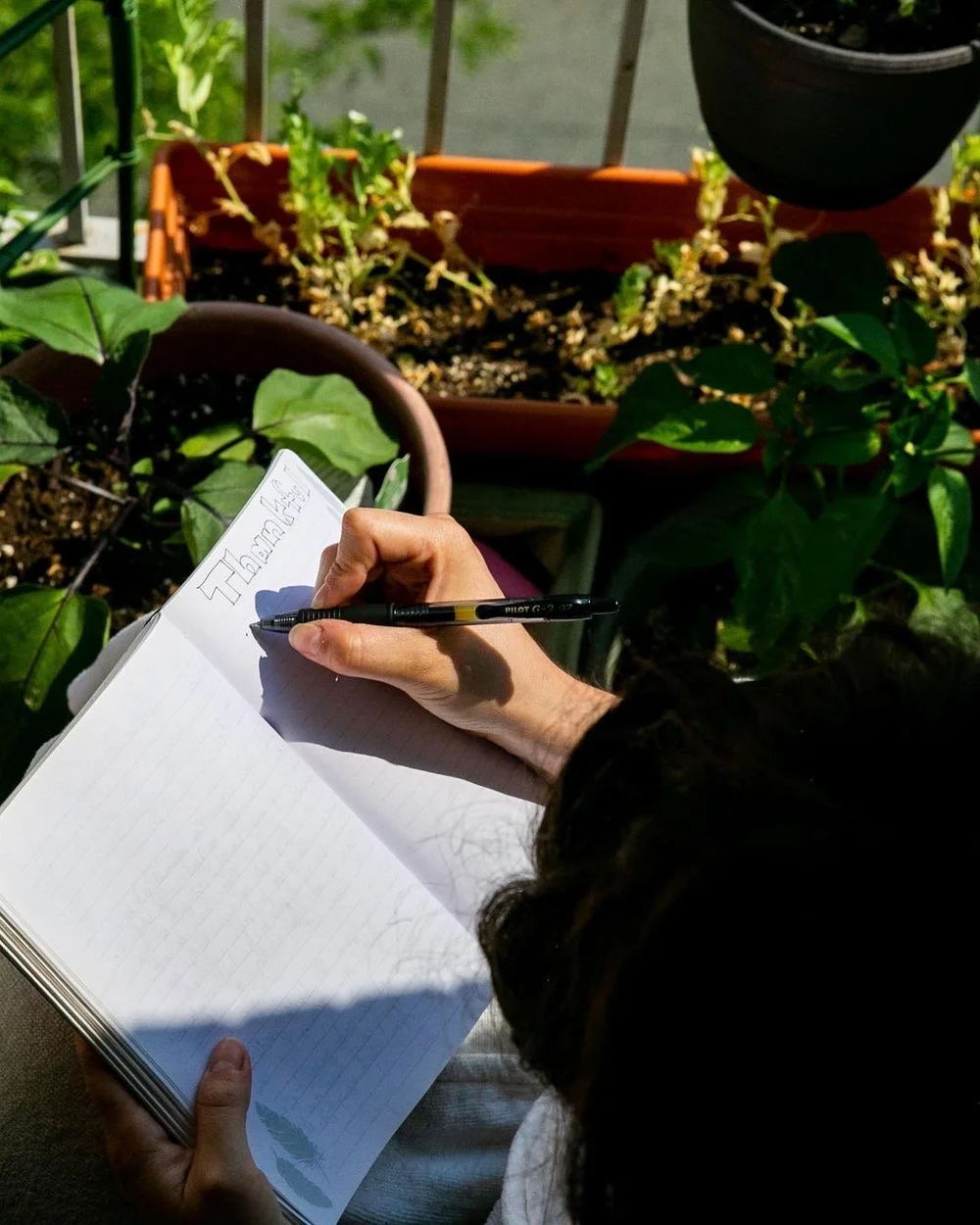 Ep. 121 - Mindfulness and Plants — Plant Daddy Podcast