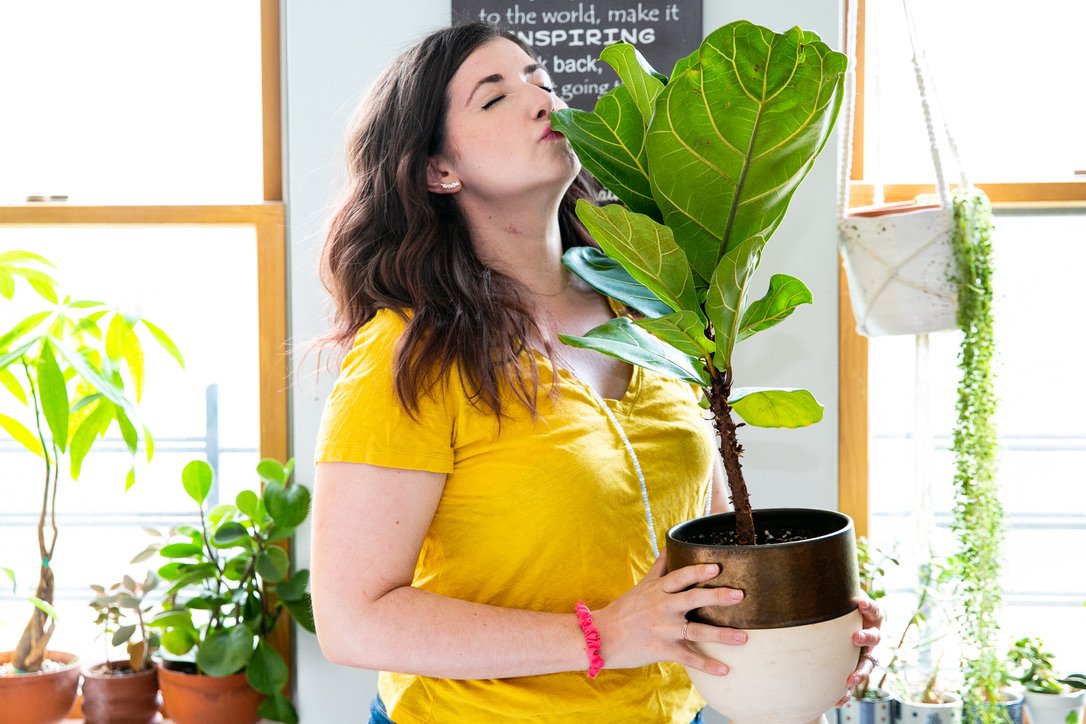 Ep. 121 - Mindfulness and Plants — Plant Daddy Podcast