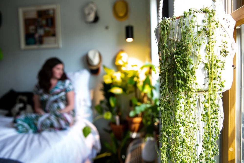 Ep. 121 - Mindfulness and Plants — Plant Daddy Podcast