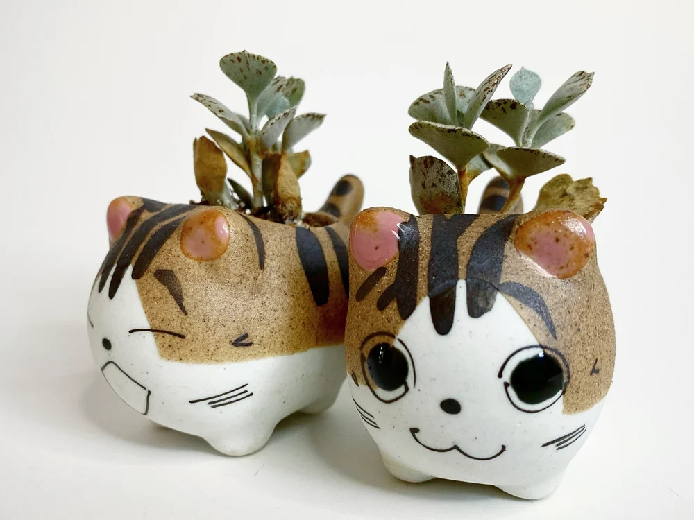 Ep. 113 - Choosing Pots — Plant Daddy Podcast