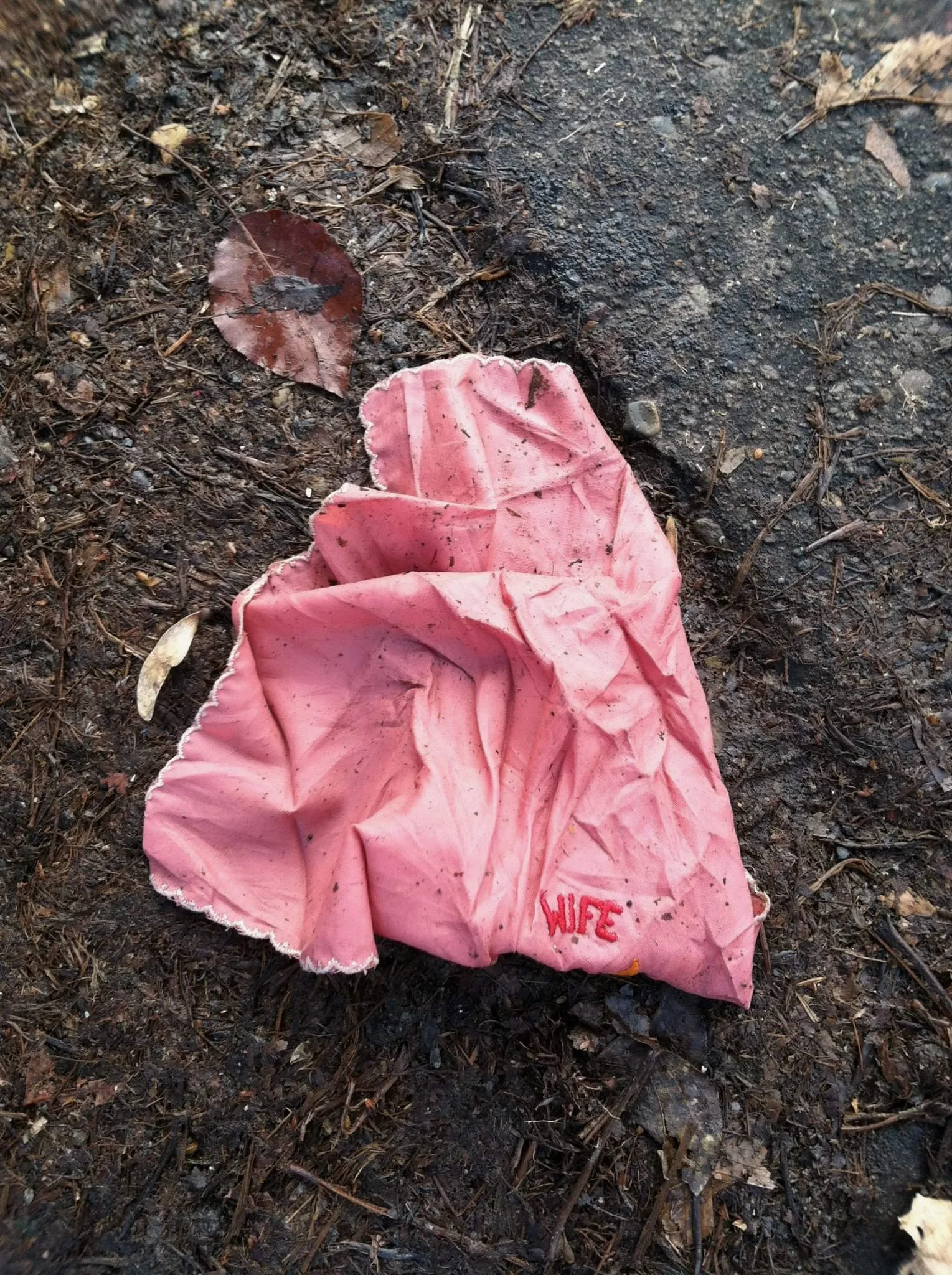 Published Work — Alex Behr