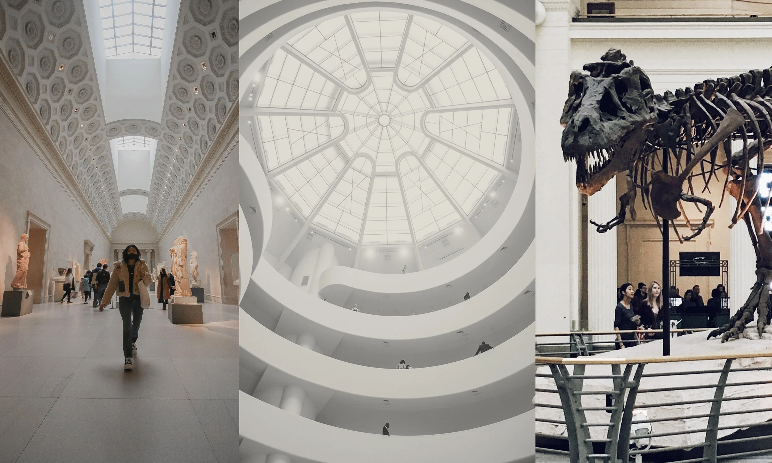 Museum Management Consultants