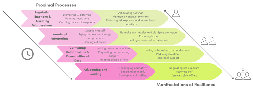 Processes and Manifestations of Digital Resilience: Video and Textual ...