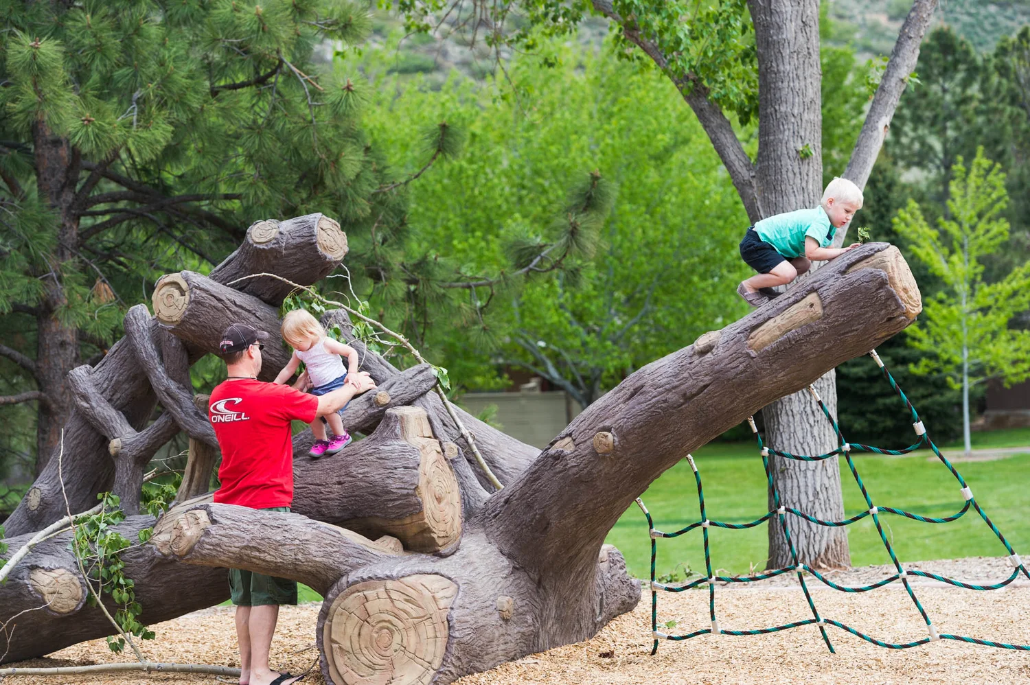 Nature Inspired Playgrounds — Park Planet