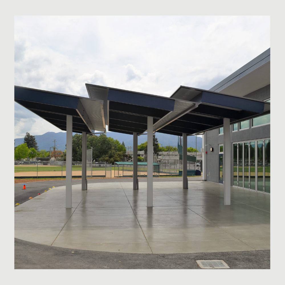 DSA Approved Shades — Park Planet