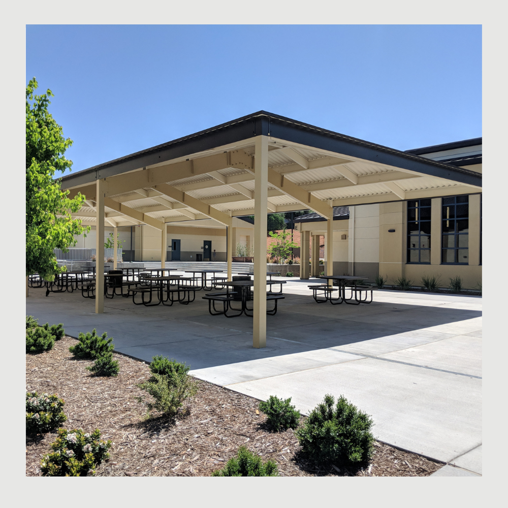 DSA Approved Shades — Park Planet