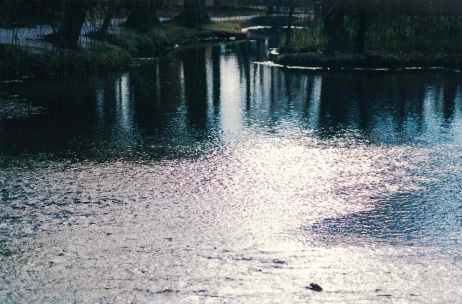 While There's Light: Sextus Propertius — While There's Light