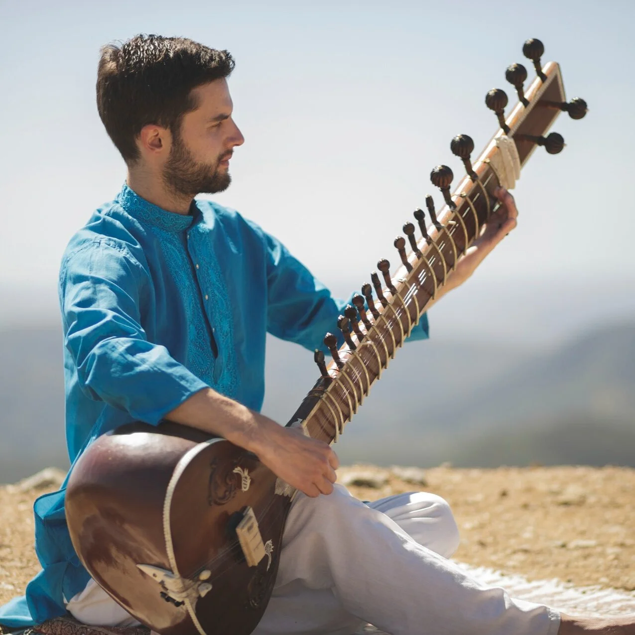 Sitar, Tanpura, Electric Sitar, and Lessons — Will Marsh Music Electric ...