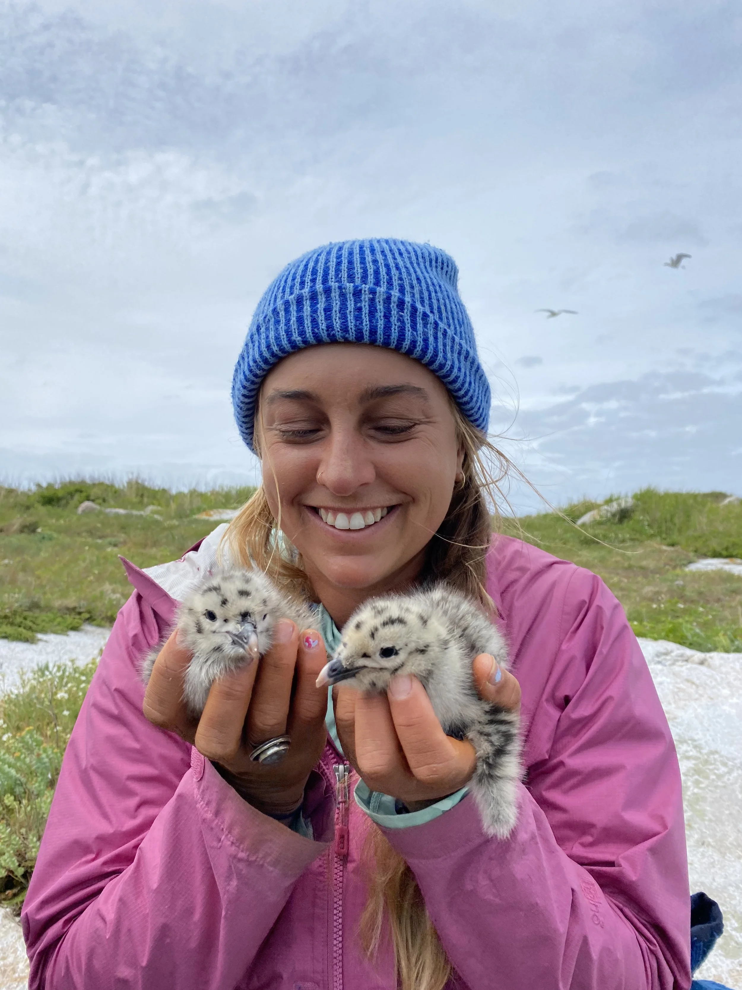 Staff Directory — Institute for Wildlife Studies