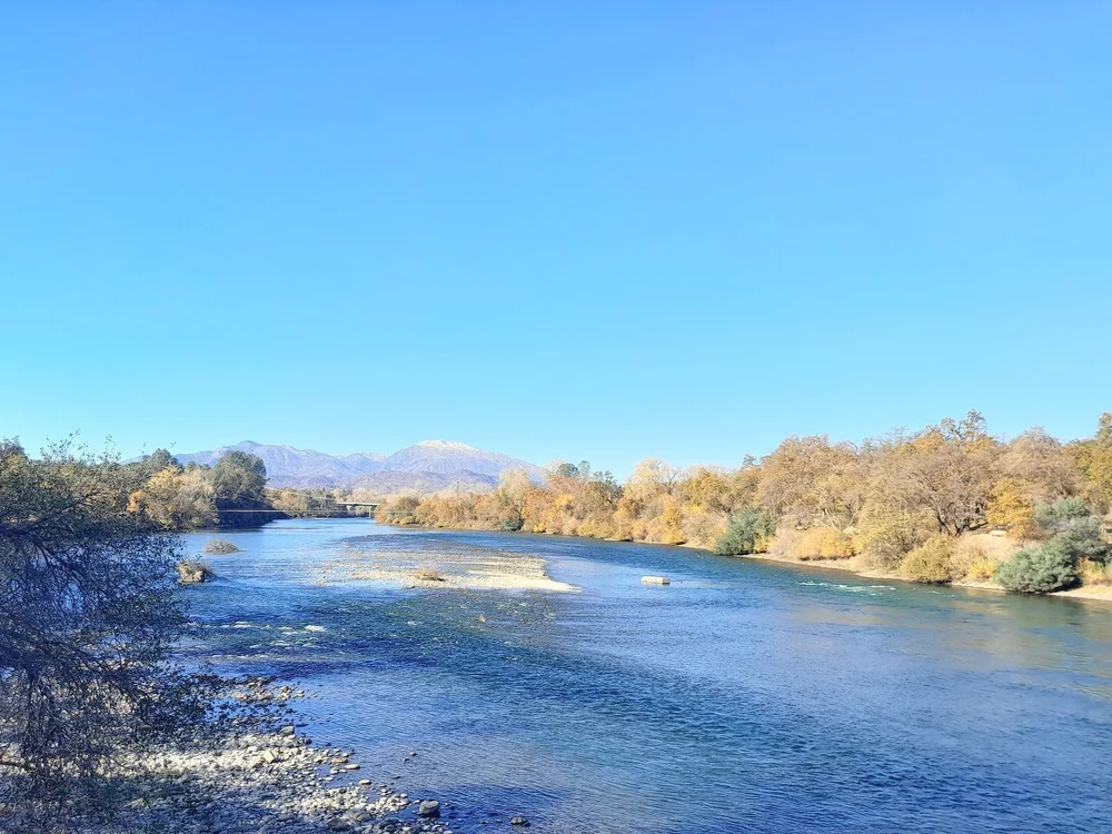 Institute for Wildlife Studies