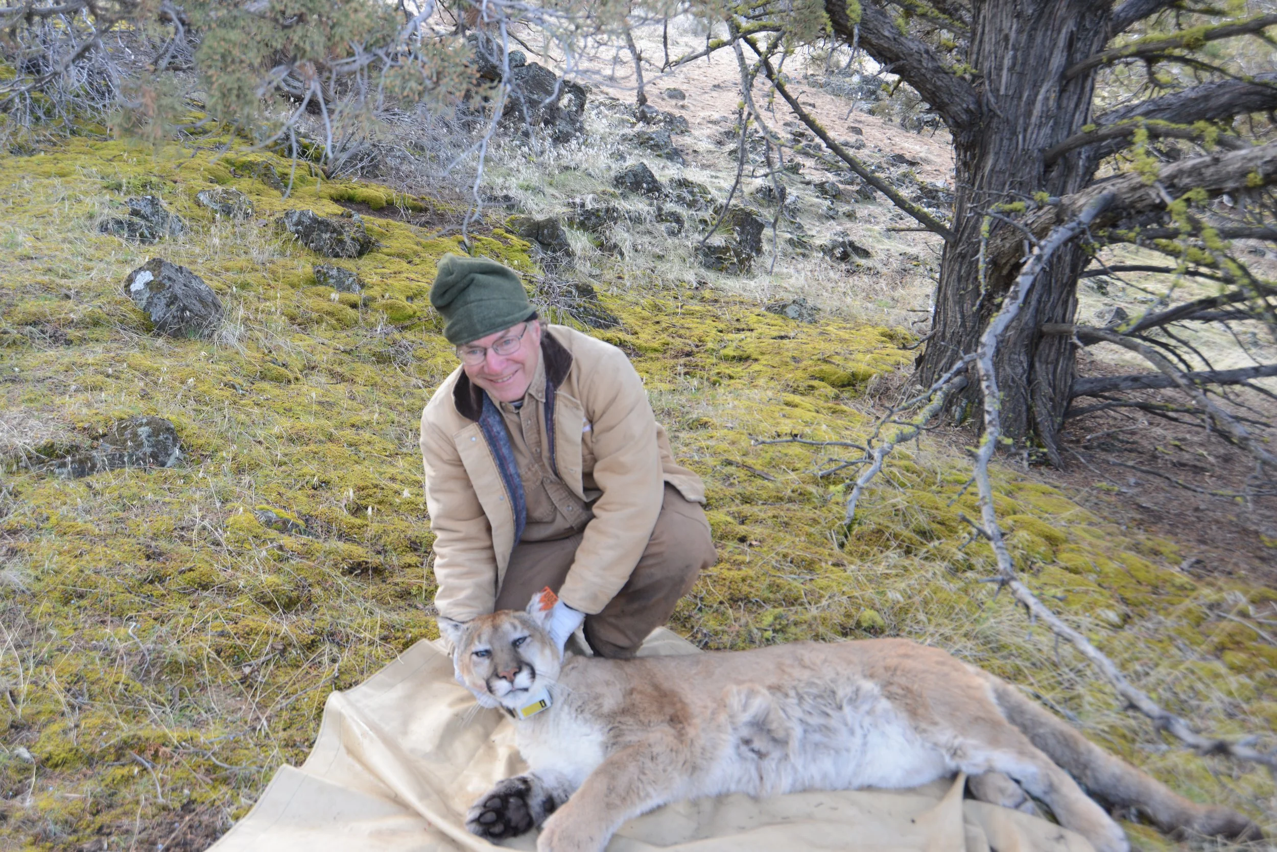 David Garcelon — Institute for Wildlife Studies