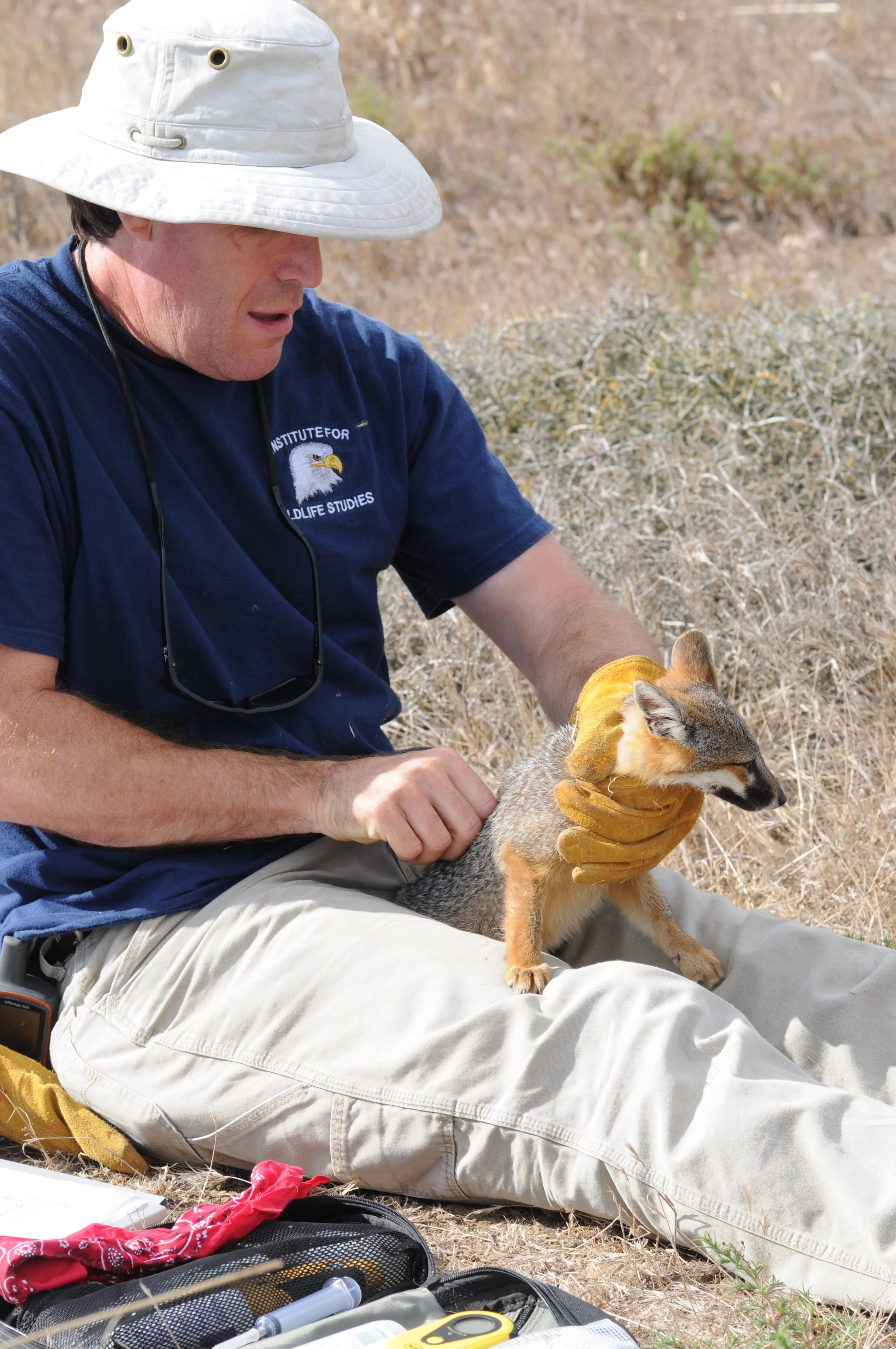 Peter Sharpe — Institute for Wildlife Studies