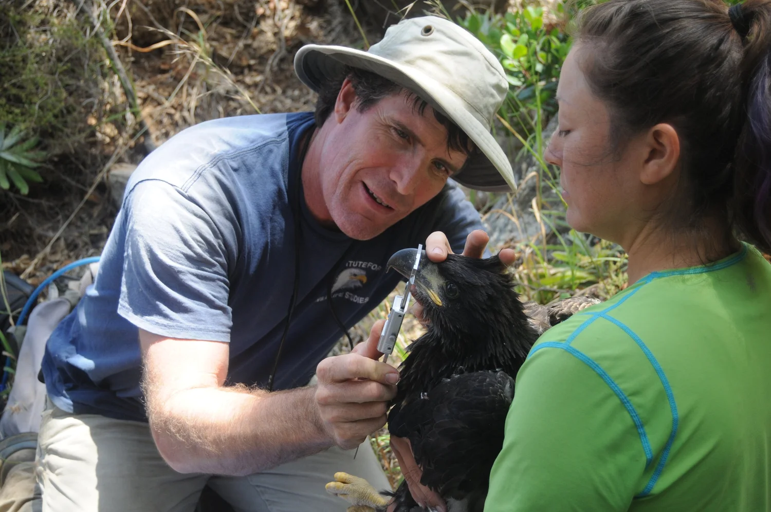 Peter Sharpe — Institute for Wildlife Studies