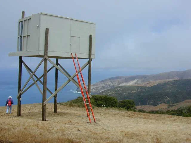 Amazing Wildlife Slideshows! — Institute for Wildlife Studies