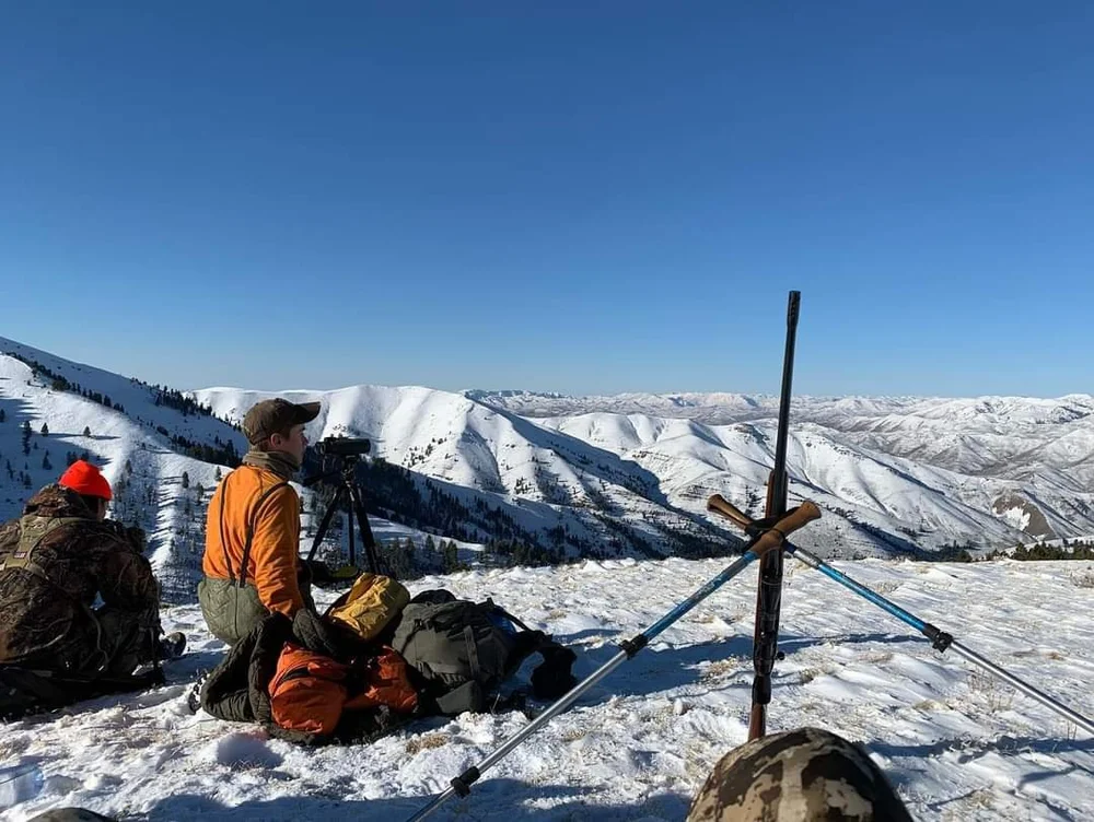 Hunter Cole — Institute for Wildlife Studies