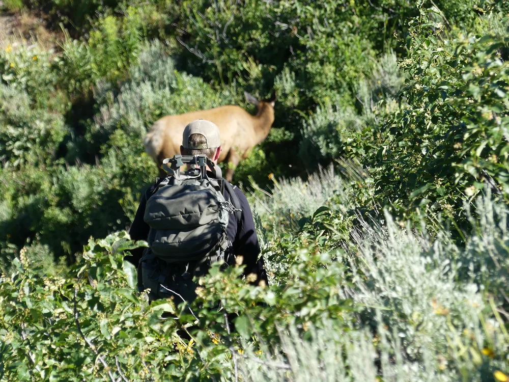 Hunter Cole — Institute for Wildlife Studies