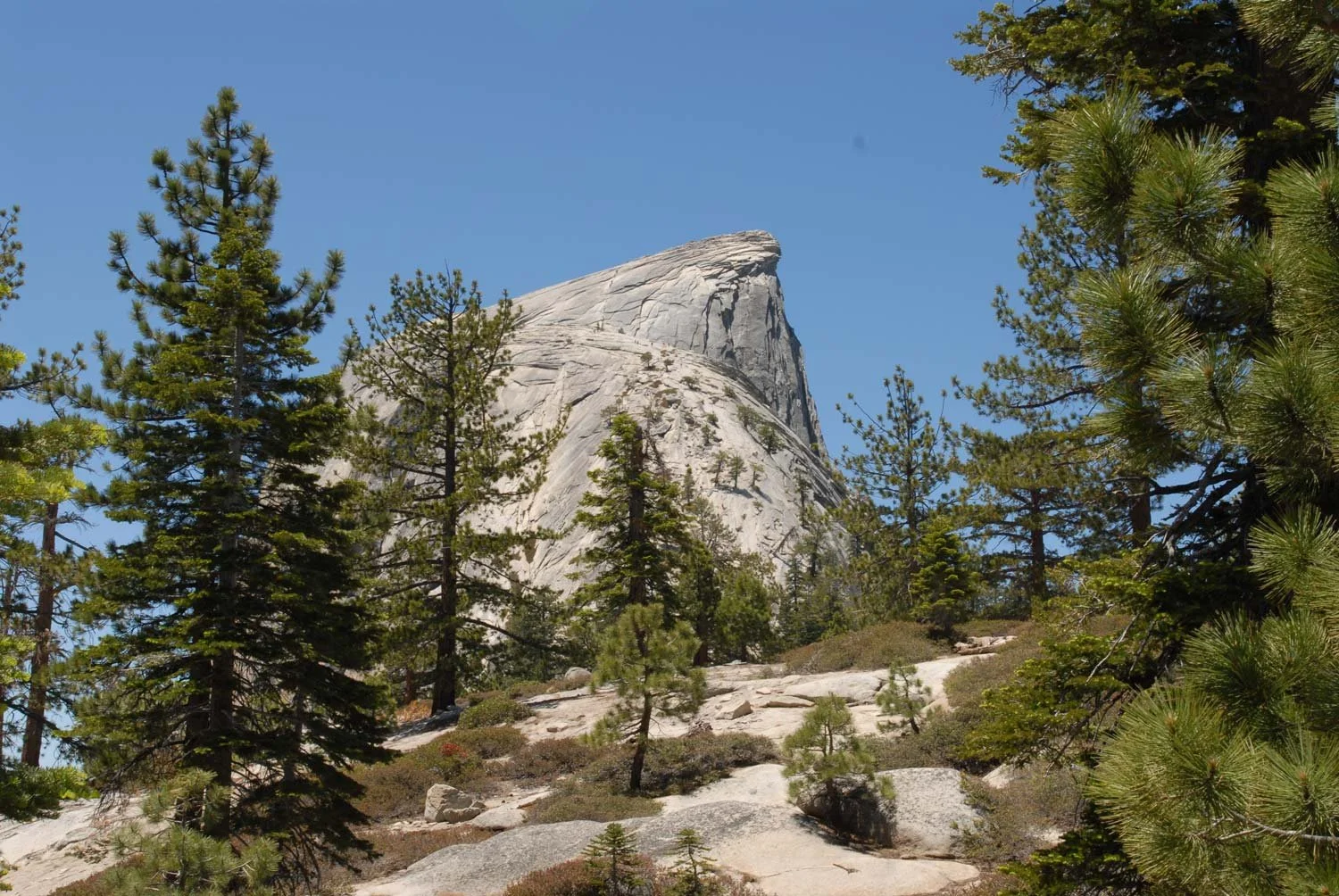 How to get permits for hiking Half Dome — Yosemite Hummingbird
