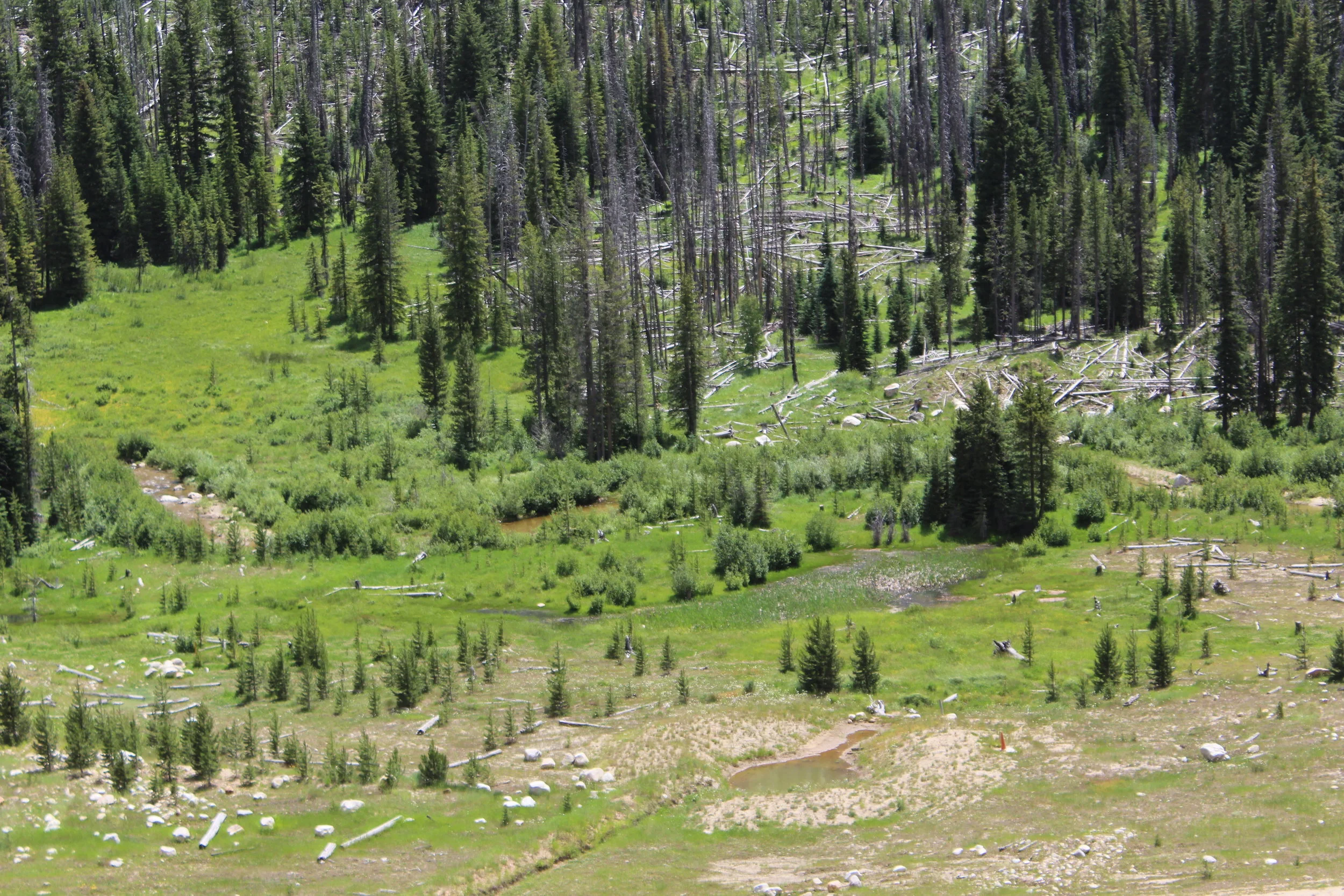 STIBNITE: the history — Idaho Rivers United