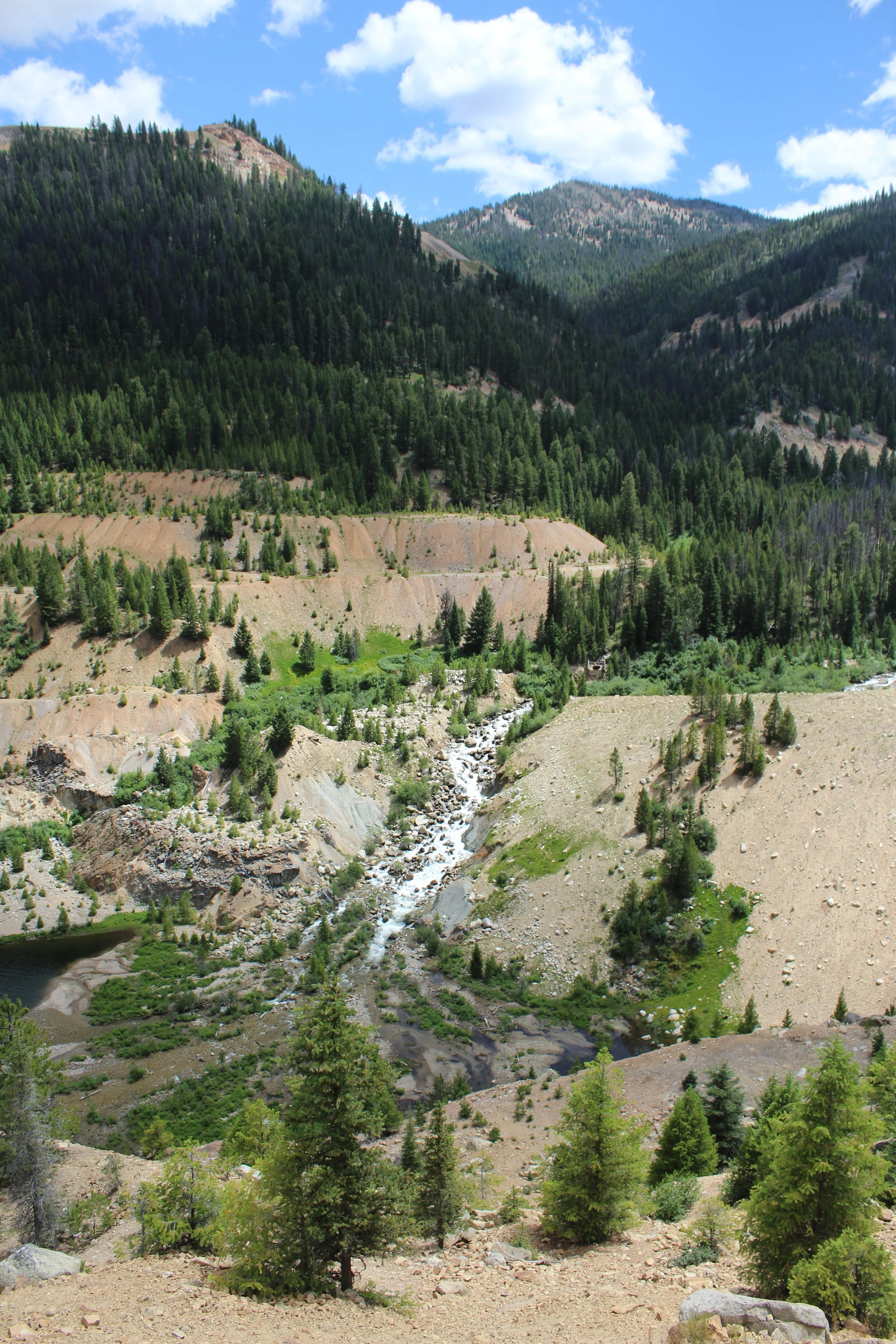STIBNITE: the history — Idaho Rivers United
